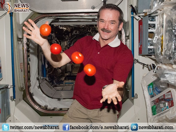 No sunlight, no soil! Plants grown aboard Space Station imprints ‘Roots ...