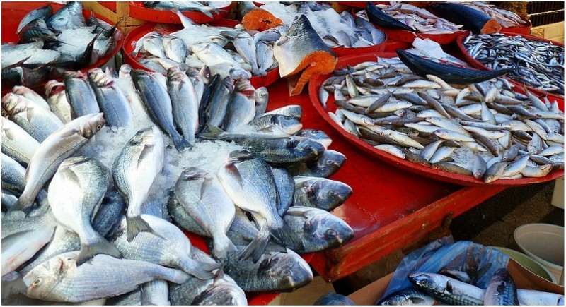 Goa: Wholesale fish traders to start importing fish from December 6 ...