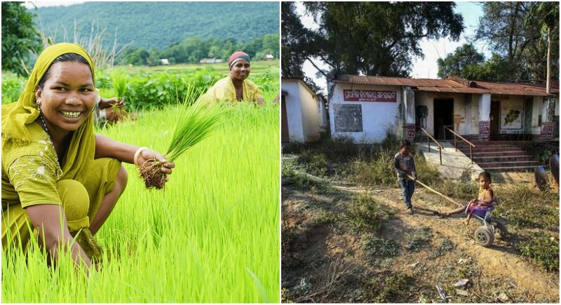 Recording double growth, Odisha tops in financial aid disbursement for ...