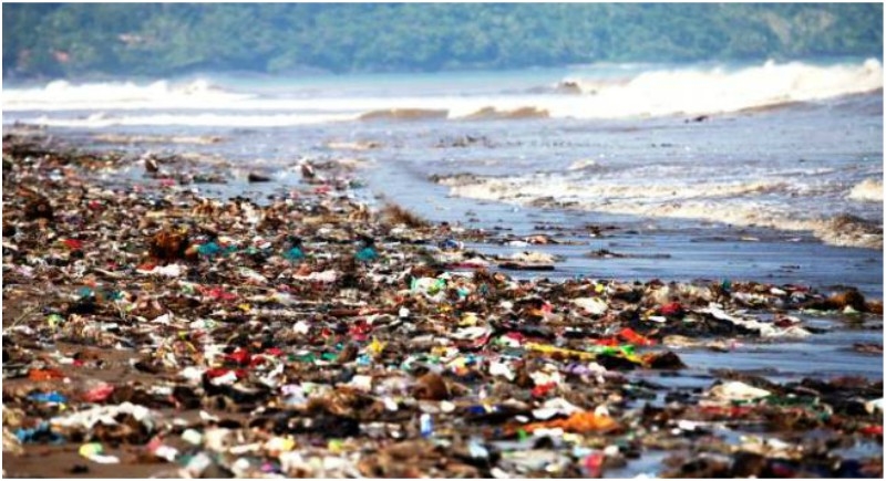 India says ‘Bye’ to plastic in its protected areas - NewsBharati