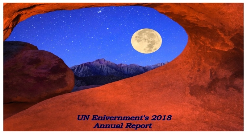 With growing actions and global dynamic commitment, UN Environment ...