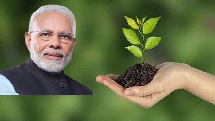 PM Shares his ‘Evergreen Blog’ on ‘Green Idea’: ‘A Daughter, A Tree and ...