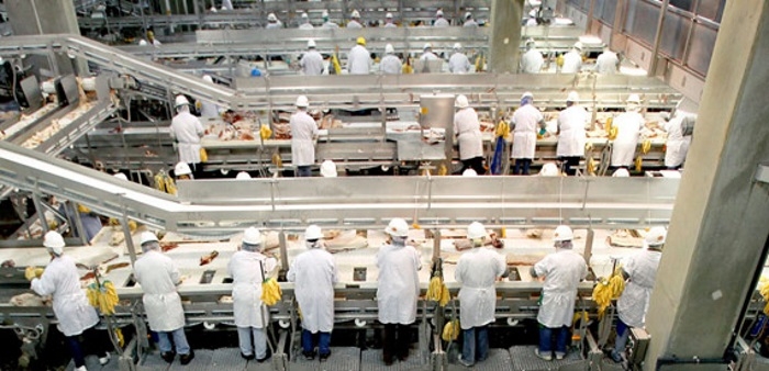 Shaping ever-growing food industry in state, Odisha to set up five more ...