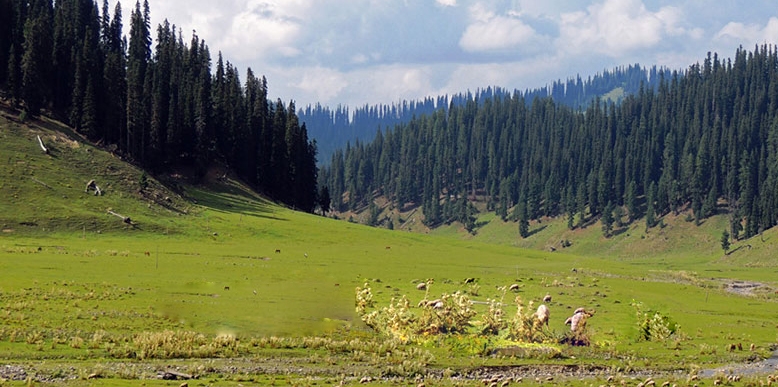 Blessed with scenic beauty, J&K figures among top five states with ...
