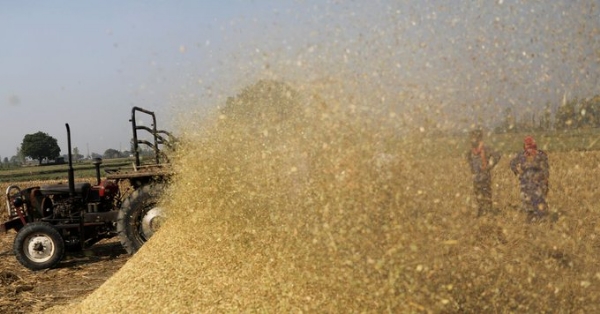 India bans exports of broken rice - NewsBharati