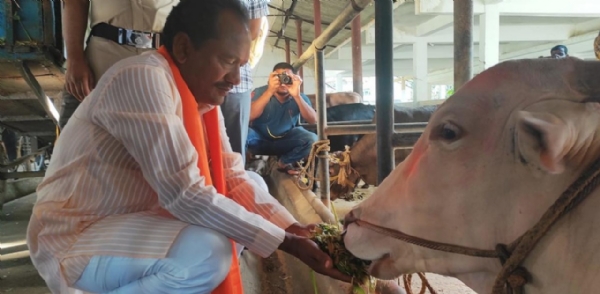 Karnataka Congress chides minister for hinting cow slaughter law change ...
